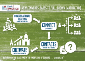 Training Card - New Converts (Pack of 10) | Glad Tidings Publishing