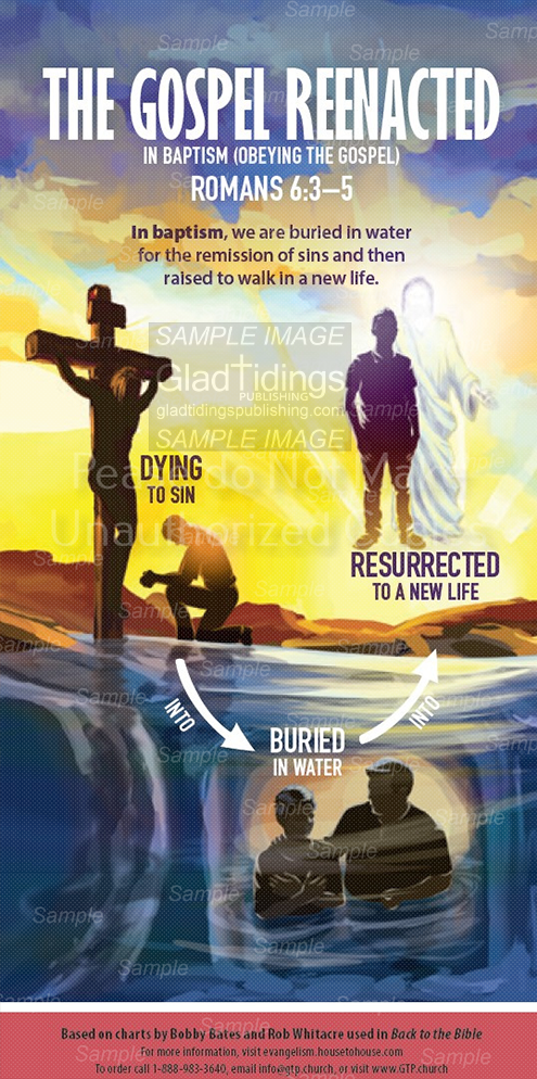 Back to the Bible - The Gospel Enacted and Reenacted (Pack of 10) Info ...