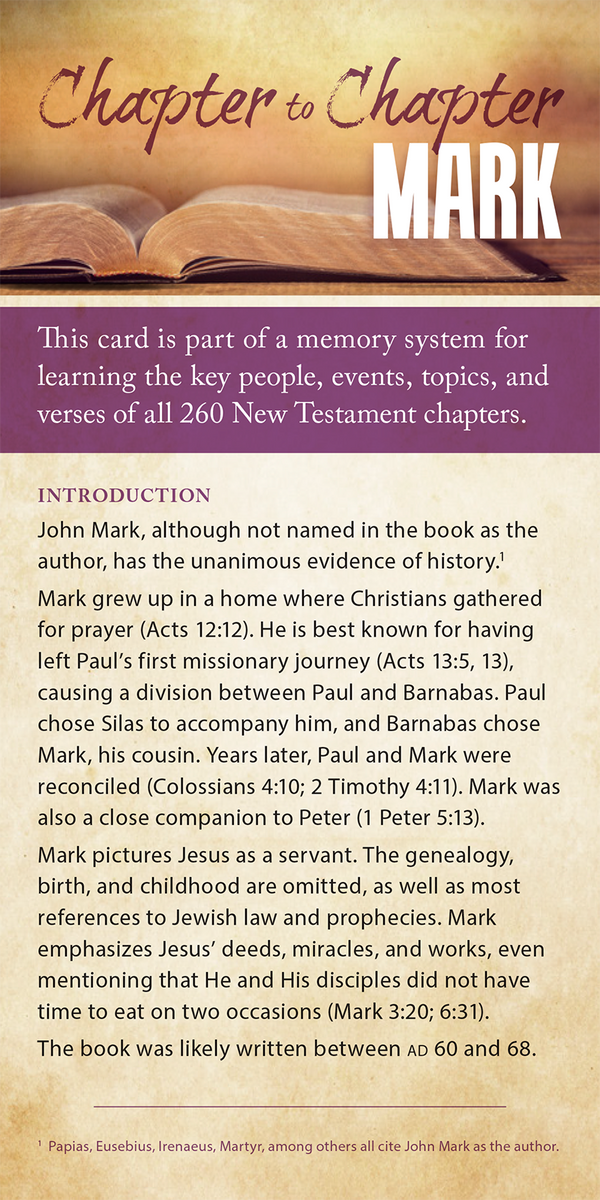 Chapter to Chapter - Mark (Pack of 10) Info-Cards or Oversize Bookmarks ...