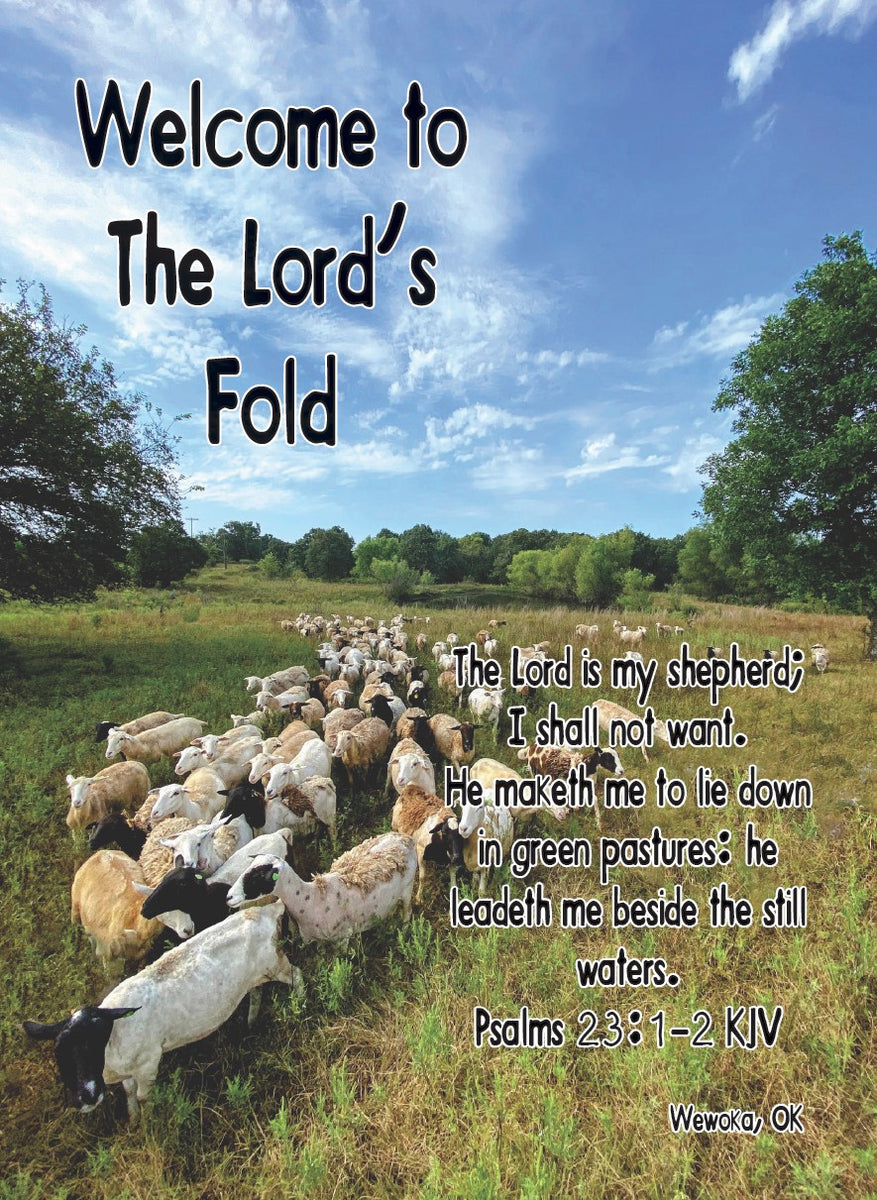 Compassion Card - New Convert (10 ct) | Glad Tidings Publishing